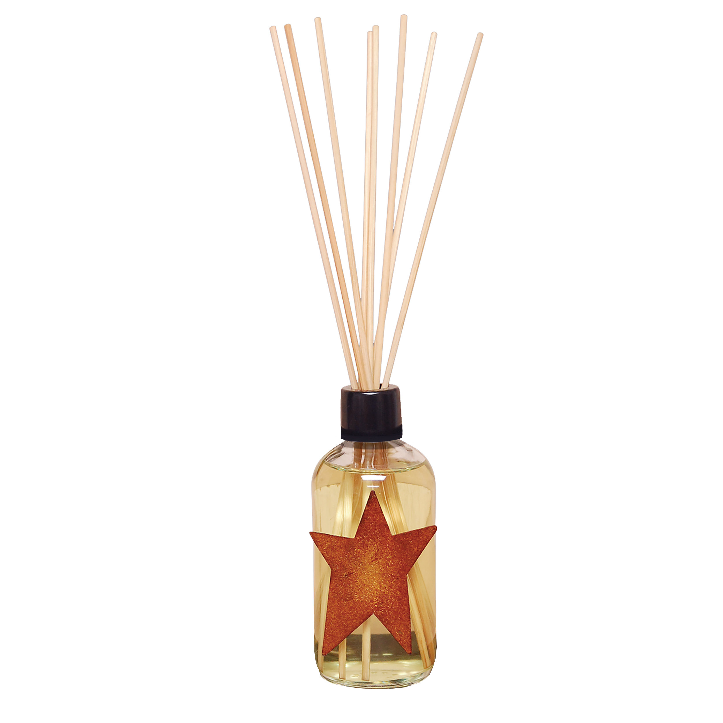 CWI Gifts Orange Clove Reed Diffuser | Wayfair