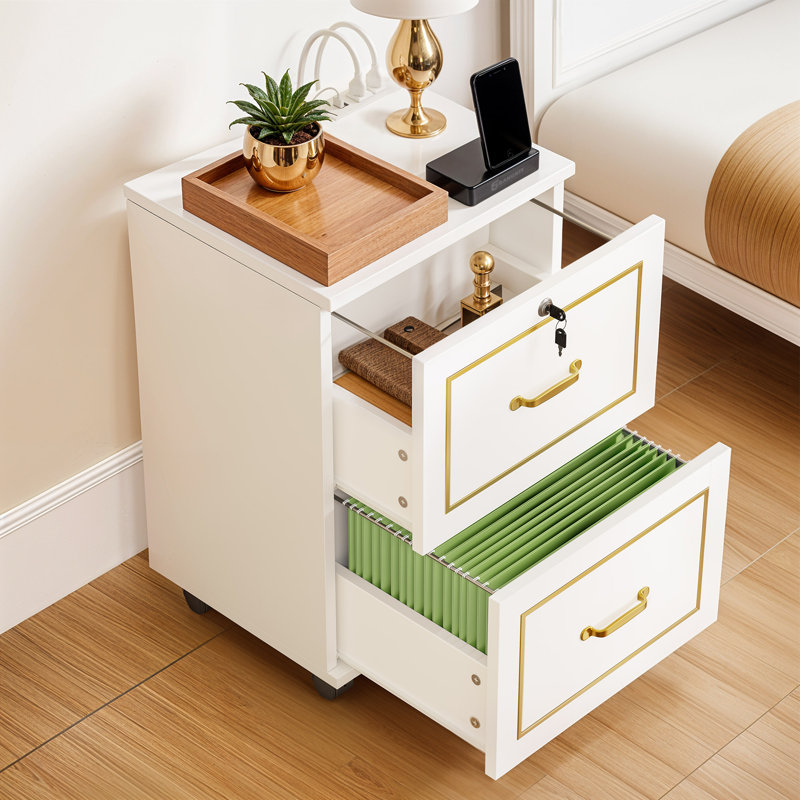 Ebern Designs Wenola 18.9'' Wide 2 -Drawer Mobile File Cabinet | Wayfair