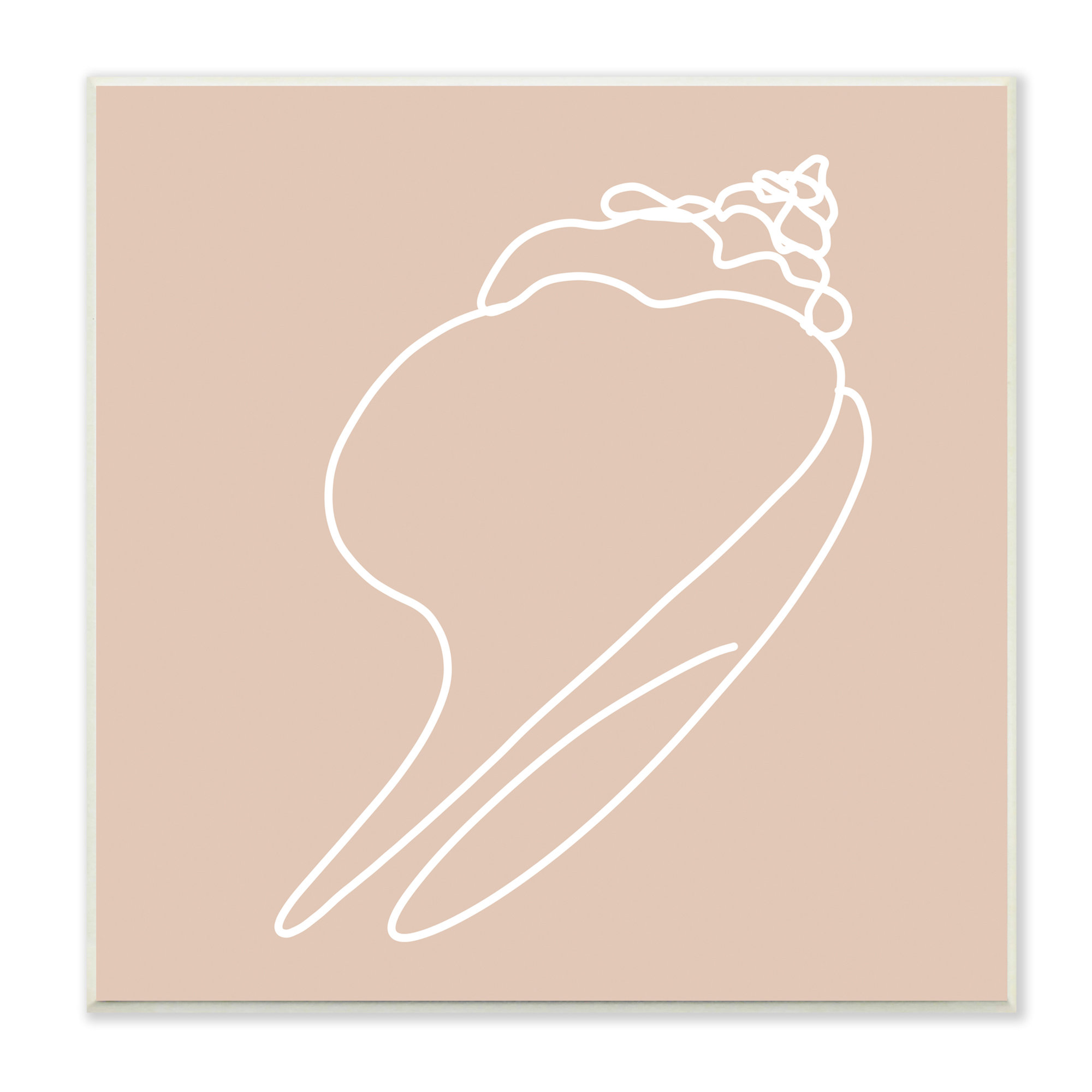 Stupell Industries Sea Shell Beach Ocean Life Line Drawing Wall Plaque ...