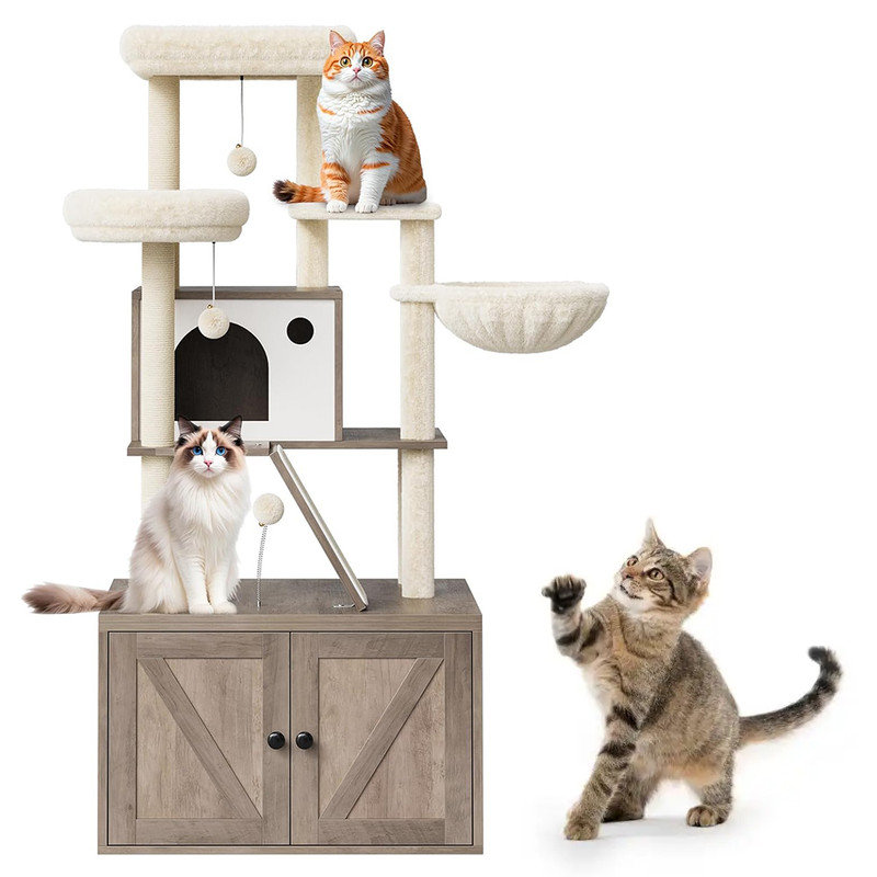 cat climbing boxes
