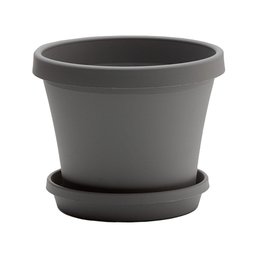 Arlmont & Co. Patrena Pot Planter | Wayfair