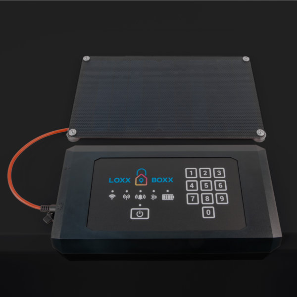 Loxx Boxx Classic Steel Package Drop | Wayfair