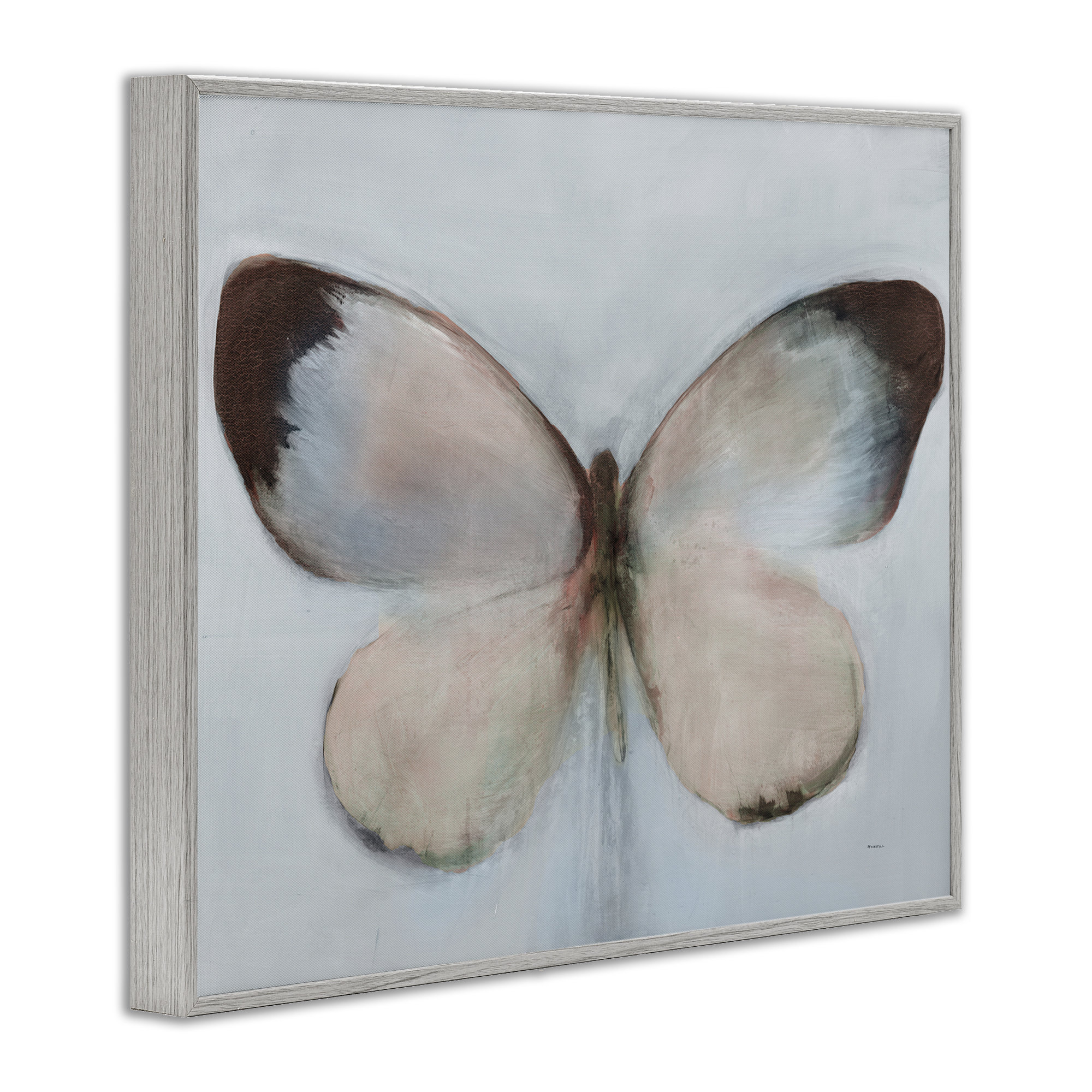 Stupell Industries Faded Butterfly Wings Giclee Art, design by Sarah ...