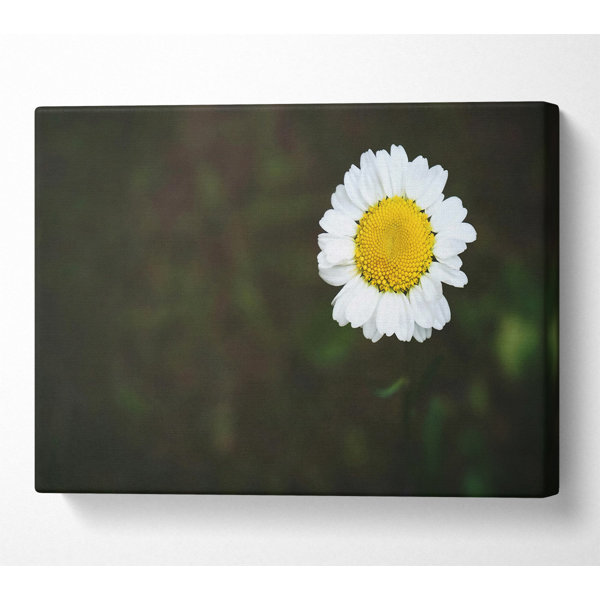 Metro Lane No Frame Print on Canvas | Wayfair.co.uk