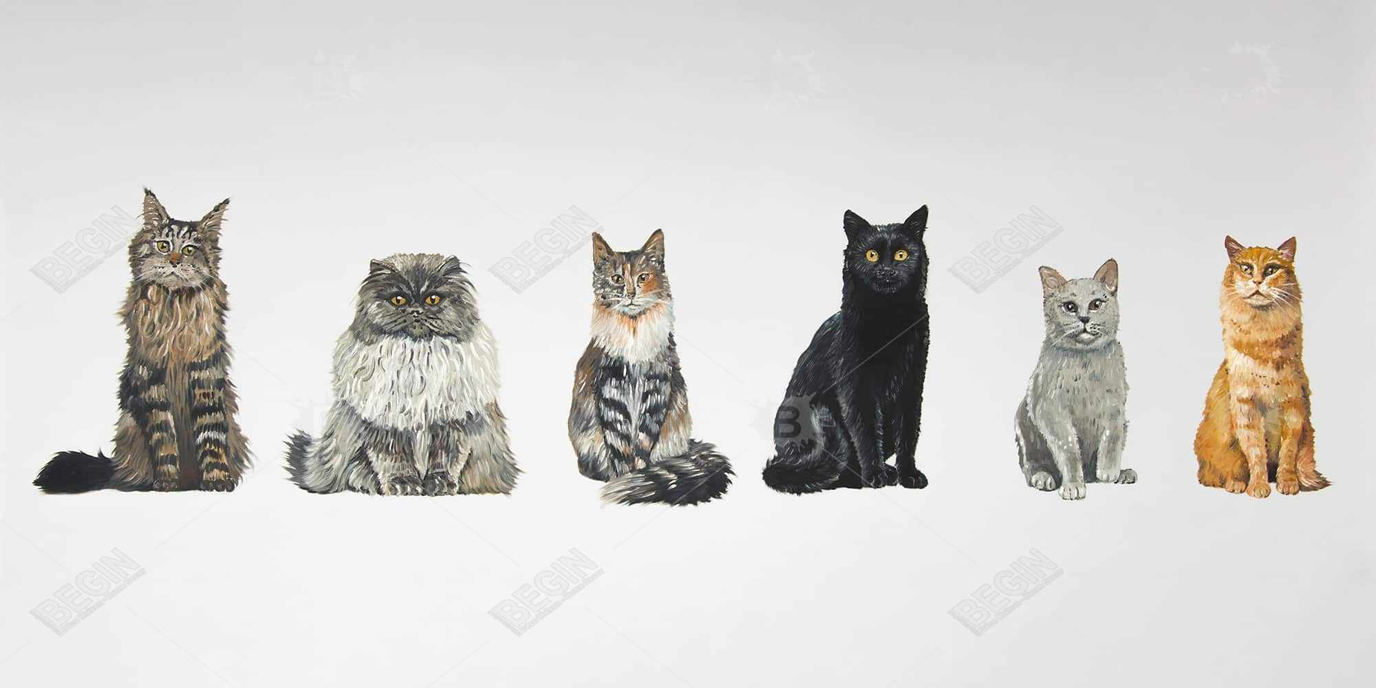 Lark Manor™ Six Cats Lined Up - Beige Framed Matted Print for Home ...