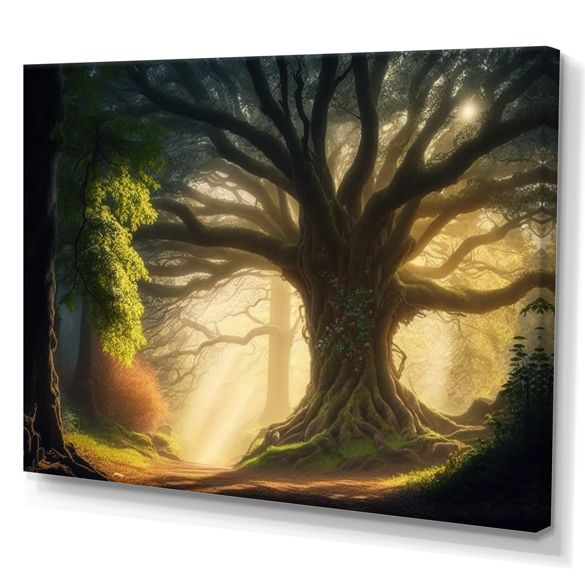 Millwood Pines Sunshine Through The Branches Of Majestic Tree - Forest ...