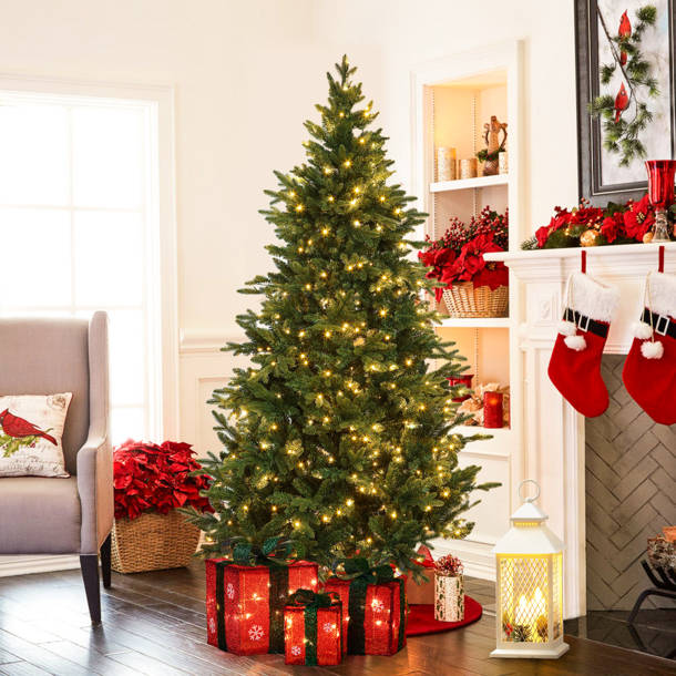 DarbyCreekTrading Solid Color Metal Tree Collar | Wayfair