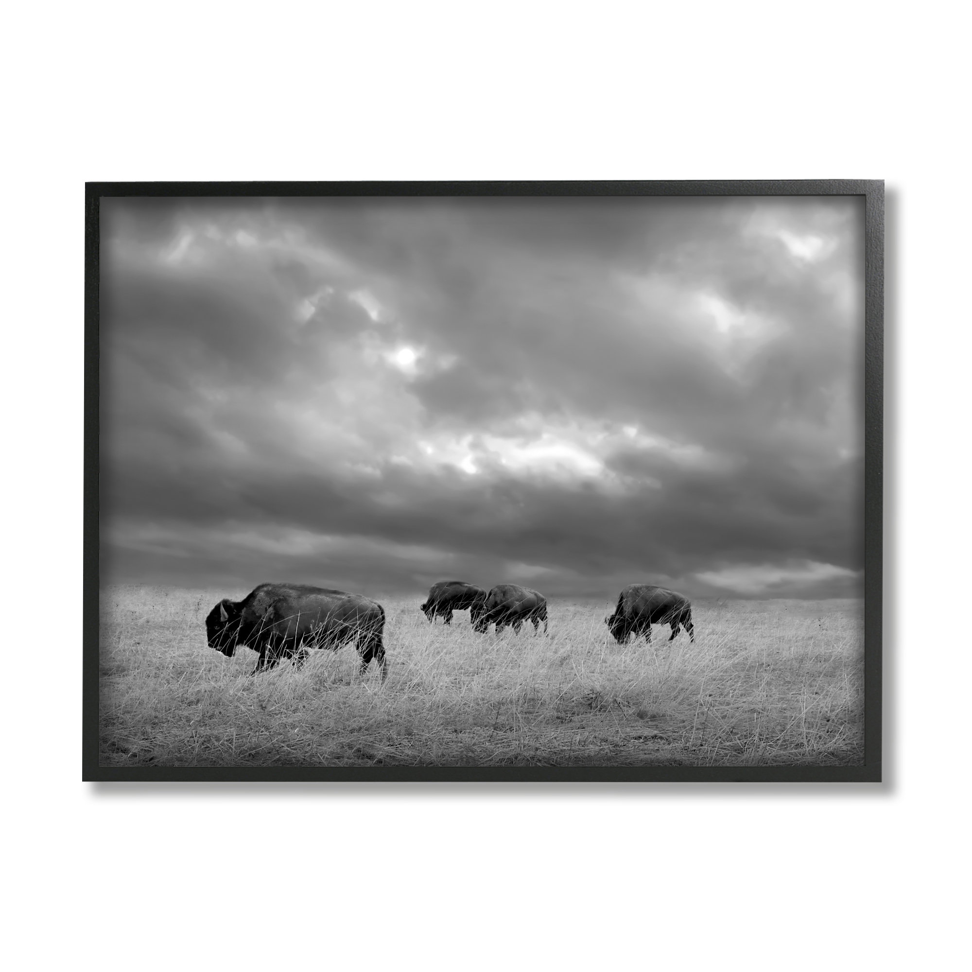 Stupell Industries Bison In Cloudy Field by Steve Toole | Wayfair