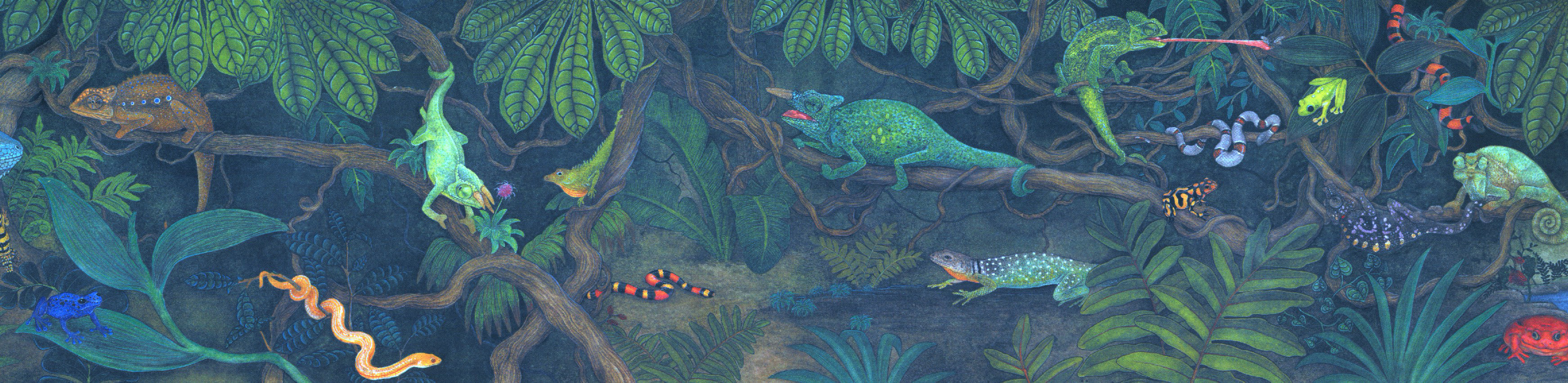 Bay Isle Home™ Concord Wallcoverings Wallpaper Border Animal Pattern ...