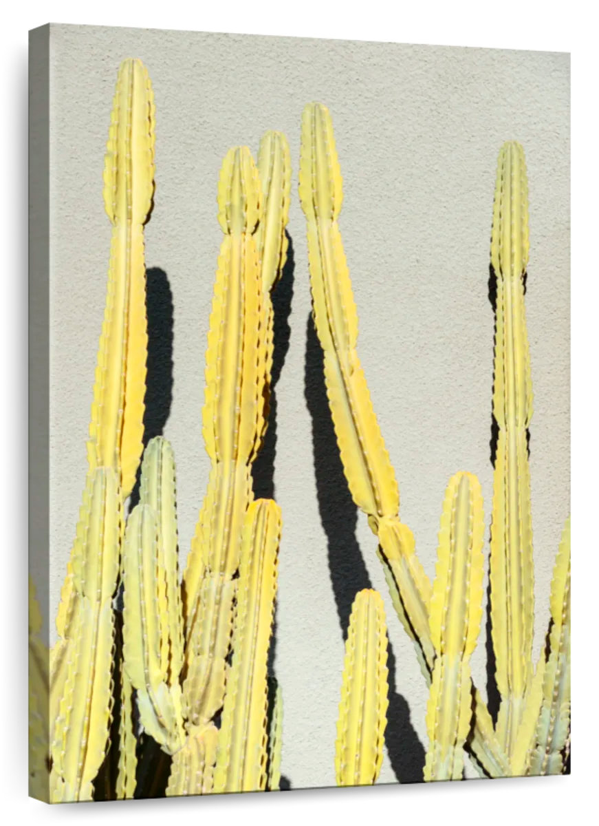 Elephant Stock Yellow Cactus | Wayfair
