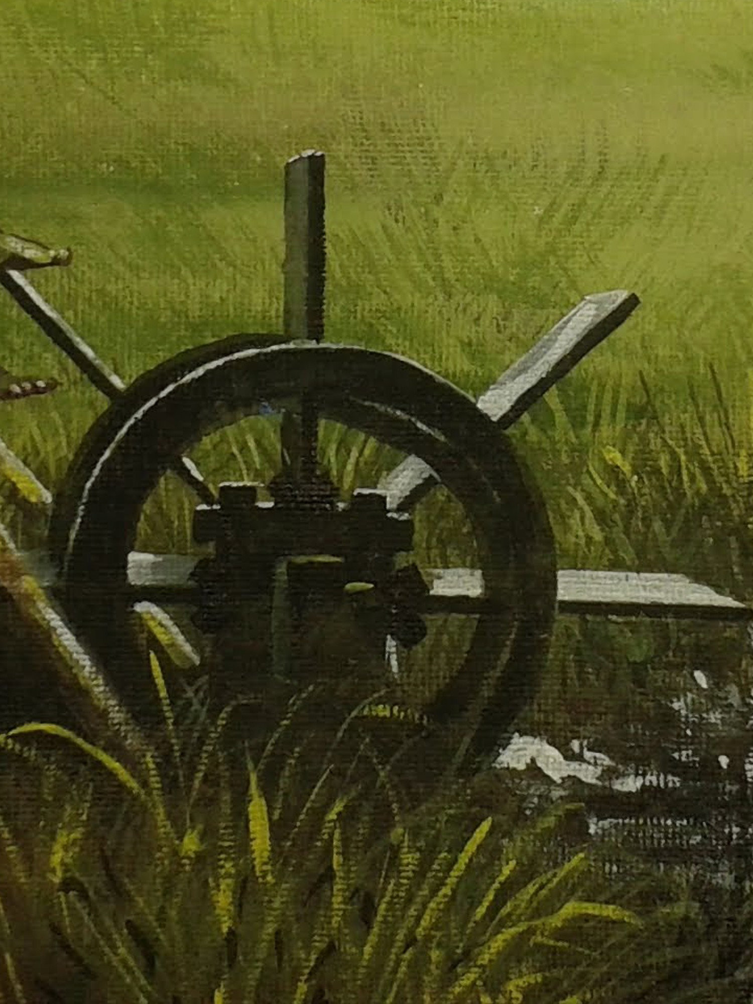 Exotic India Water Wheel (Chakram Chavittal) Farming In Kerala ...