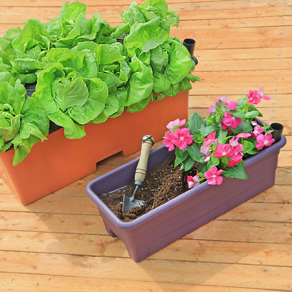 EarthBox Self-Watering Resin Railing Planter | Wayfair