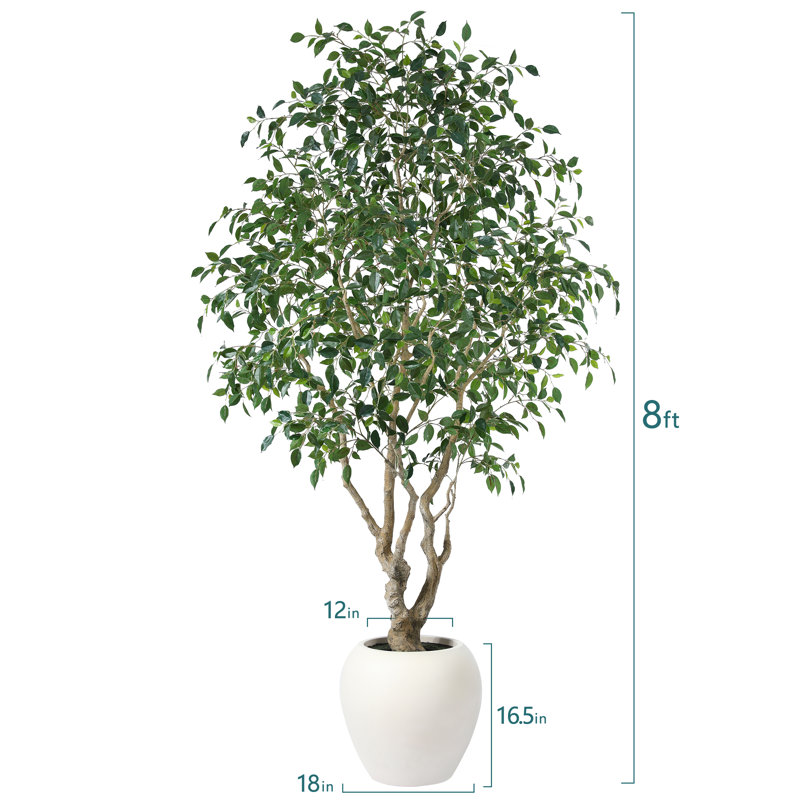 Primrue Adcock 8ft Artificial Ficus Tree with 18in White Planter, Tall ...