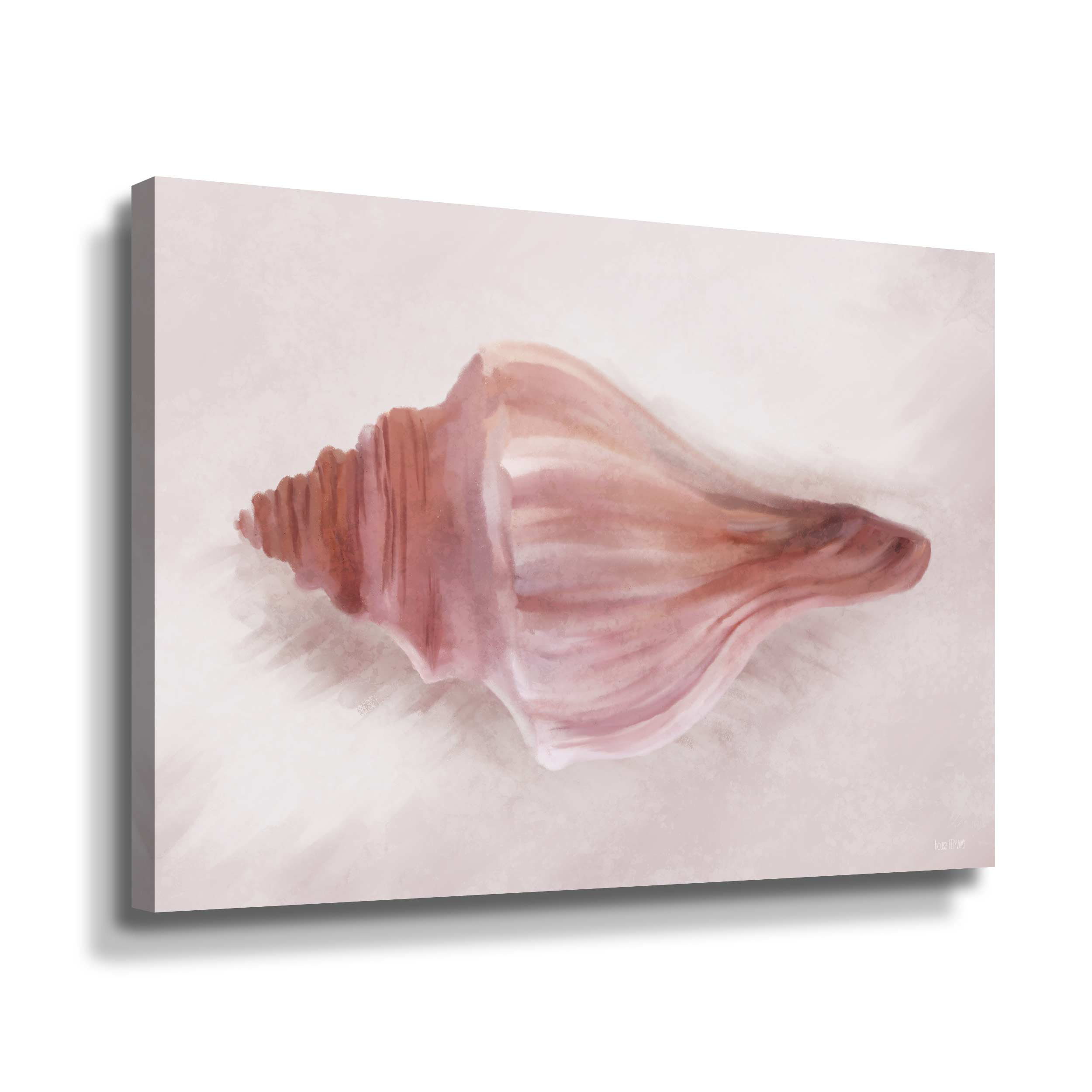 Rosecliff Heights Conch Shell Blush I Gallery Wrapped Canvas - Wayfair ...