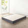 Alwyn Home Minnie 4'' Metal Box Spring & Reviews | Wayfair