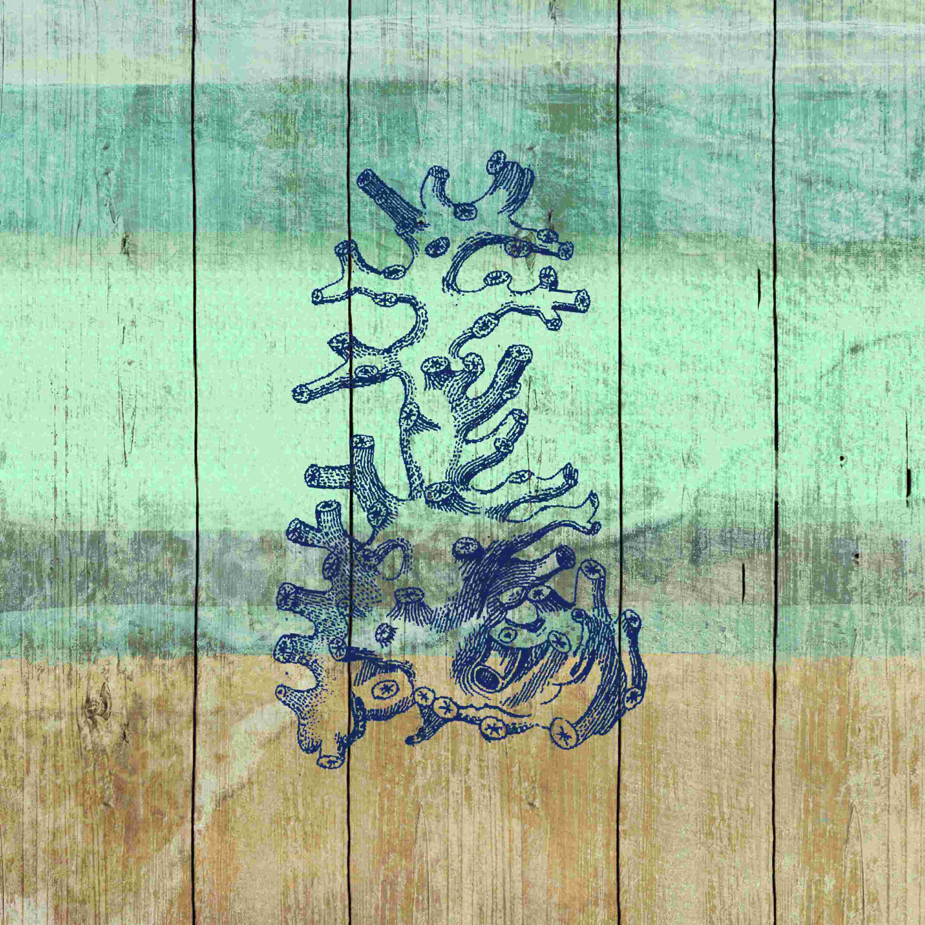Highland Dunes Coral Beach Wood Texture - Wayfair Canada