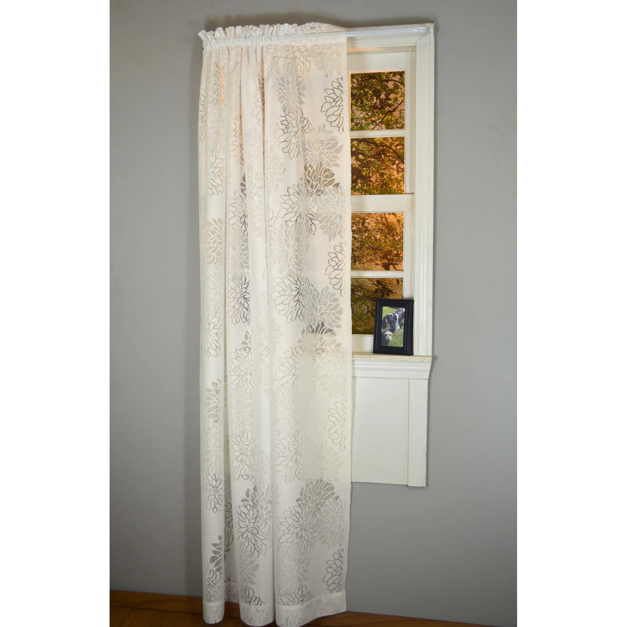 Winston Porter Mums The Word 56" W X 63"L Panel Ivory | Wayfair