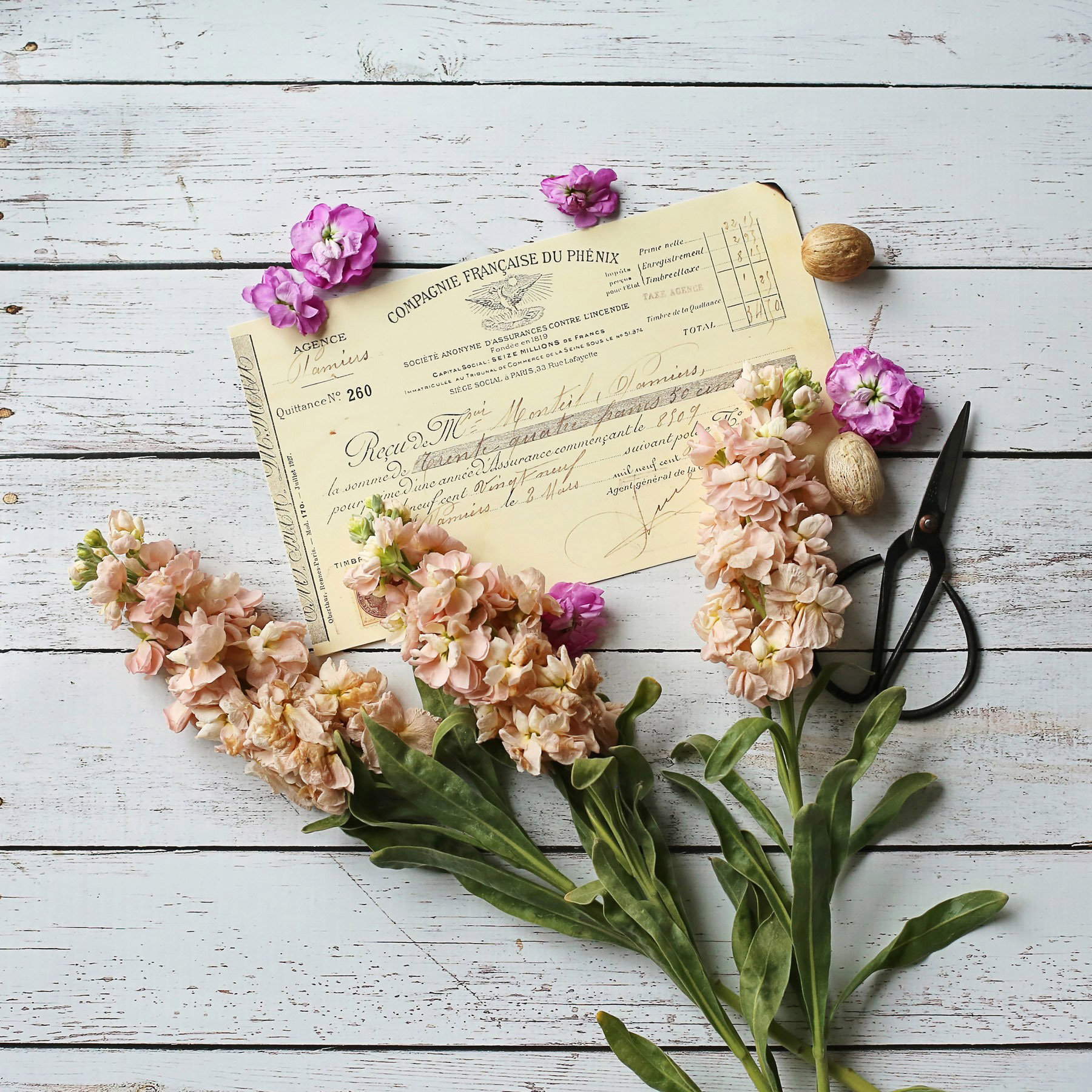 Marmont Hill 'Stocks' by Sylvia Cook Painting Print on Wrapped Canvas ...