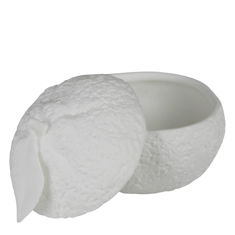 Lark Manor™ Mandarin Orange Box, Bone China | Wayfair