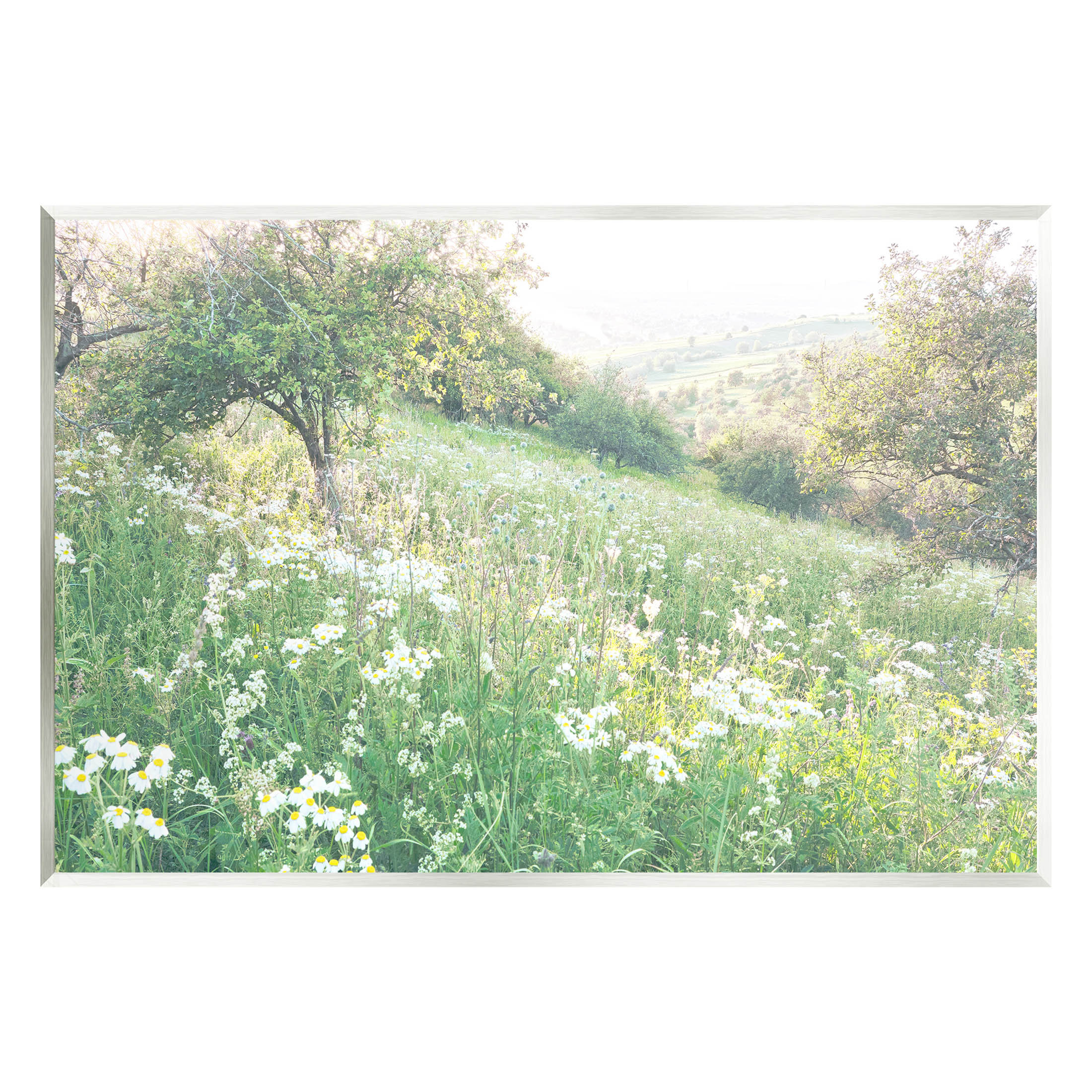 Stupell Industries Spring Meadow Grassland Field Giclee Art By Leah ...