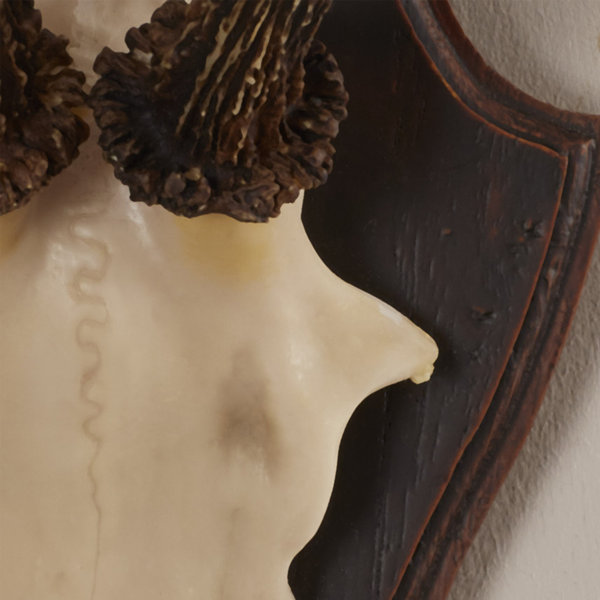 Millwood Pines Orient 3 Piece Antler Trophy Wall Décor Set & Reviews ...