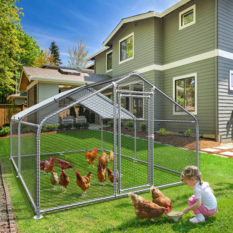 YITAHOME 124.5 Square Feet with Chicken Run & Reviews | Wayfair