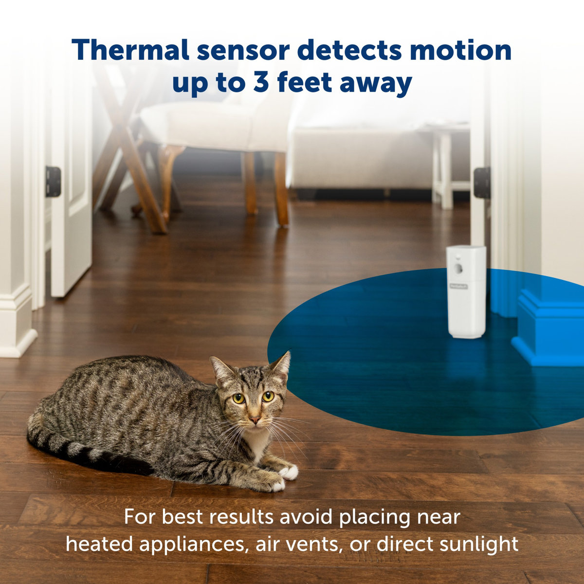 Petsafe® Ssscat® Automatic Spray Pet Deterrent & Reviews | Wayfair
