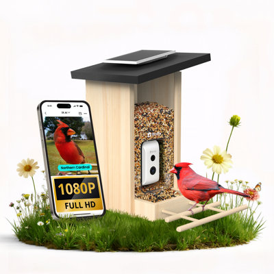 smart squirrel feeder