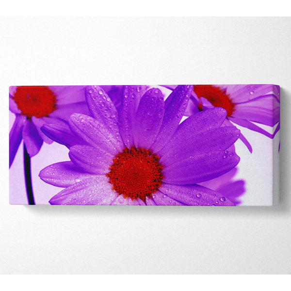 Rosalind Wheeler Purple Dew Drop Daisys - Wrapped Canvas Art Prints ...