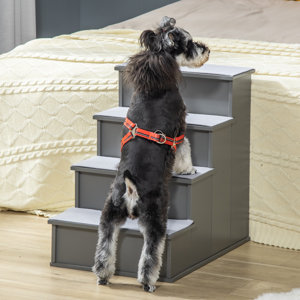 Dog Ramps & Stairs You'll Love - Wayfair Canada