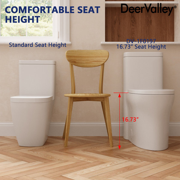 DeerValley One Piece Toilet Modern Toilet,Fully Skirted Dual Flush ...