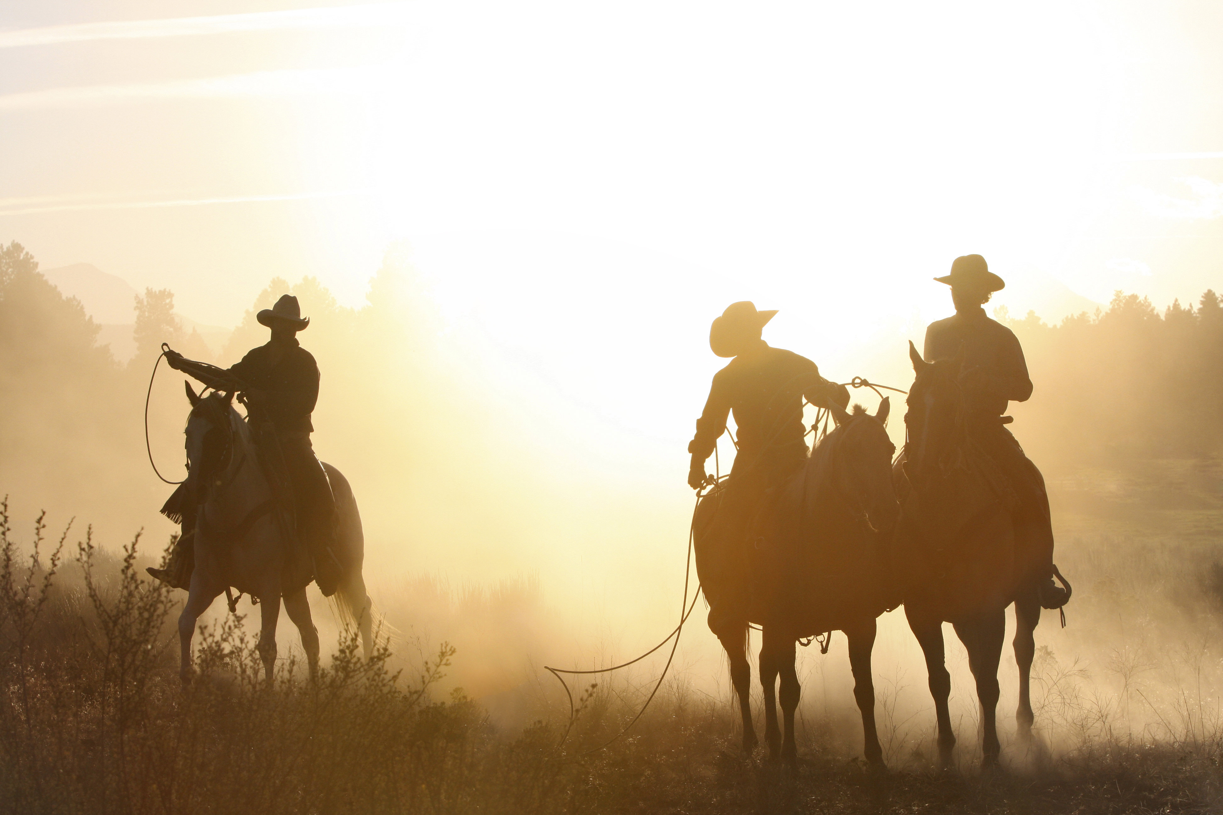 Union Rustic Cowboys Silhouette by Georgiamartin - Wrapped Canvas ...