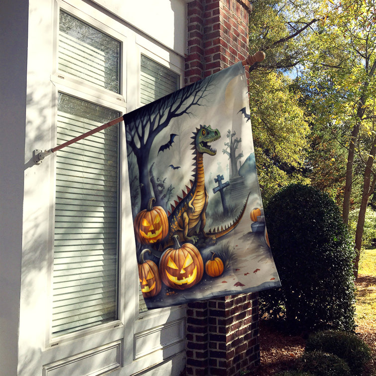 Caroline's Treasures Double Sided 40'' H x 28'' W Polyester Halloween ...