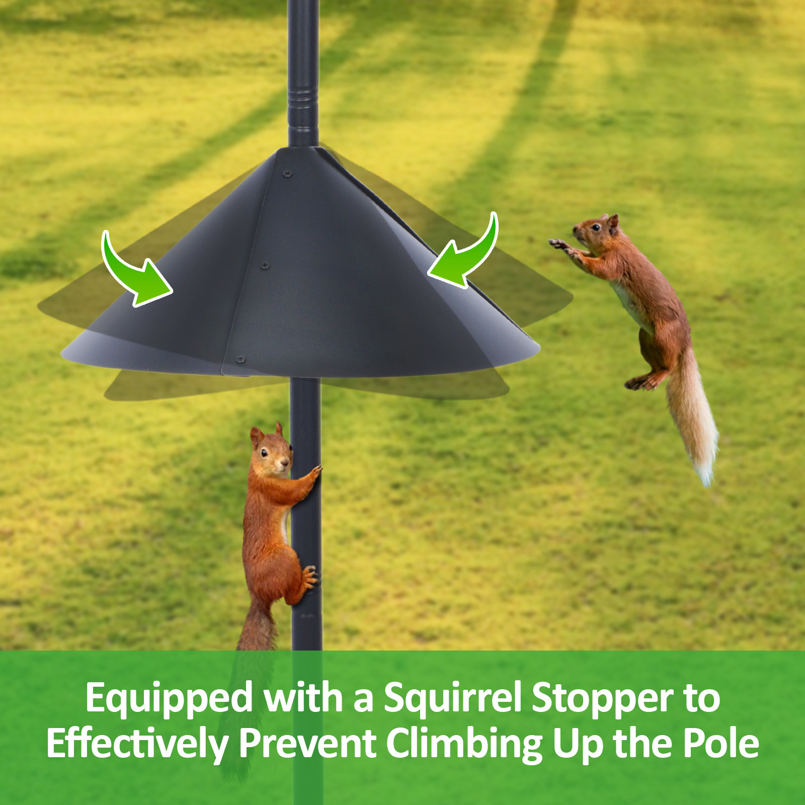 Latitude Run® Outdoor Bird Feeder With Four Hooks - Wayfair Canada