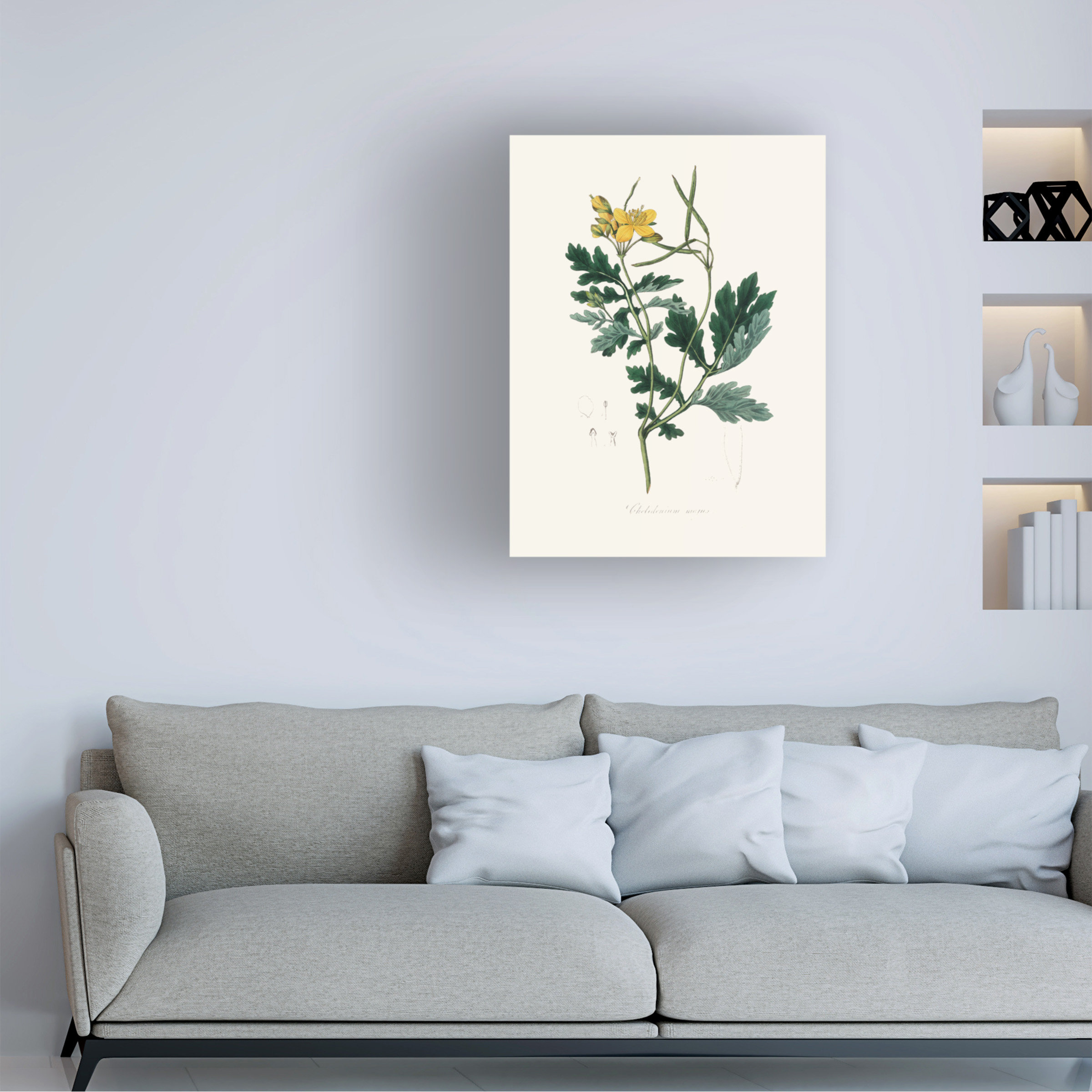 Ebern Designs John Stephenson And Greater Celandine Medical Botany ...