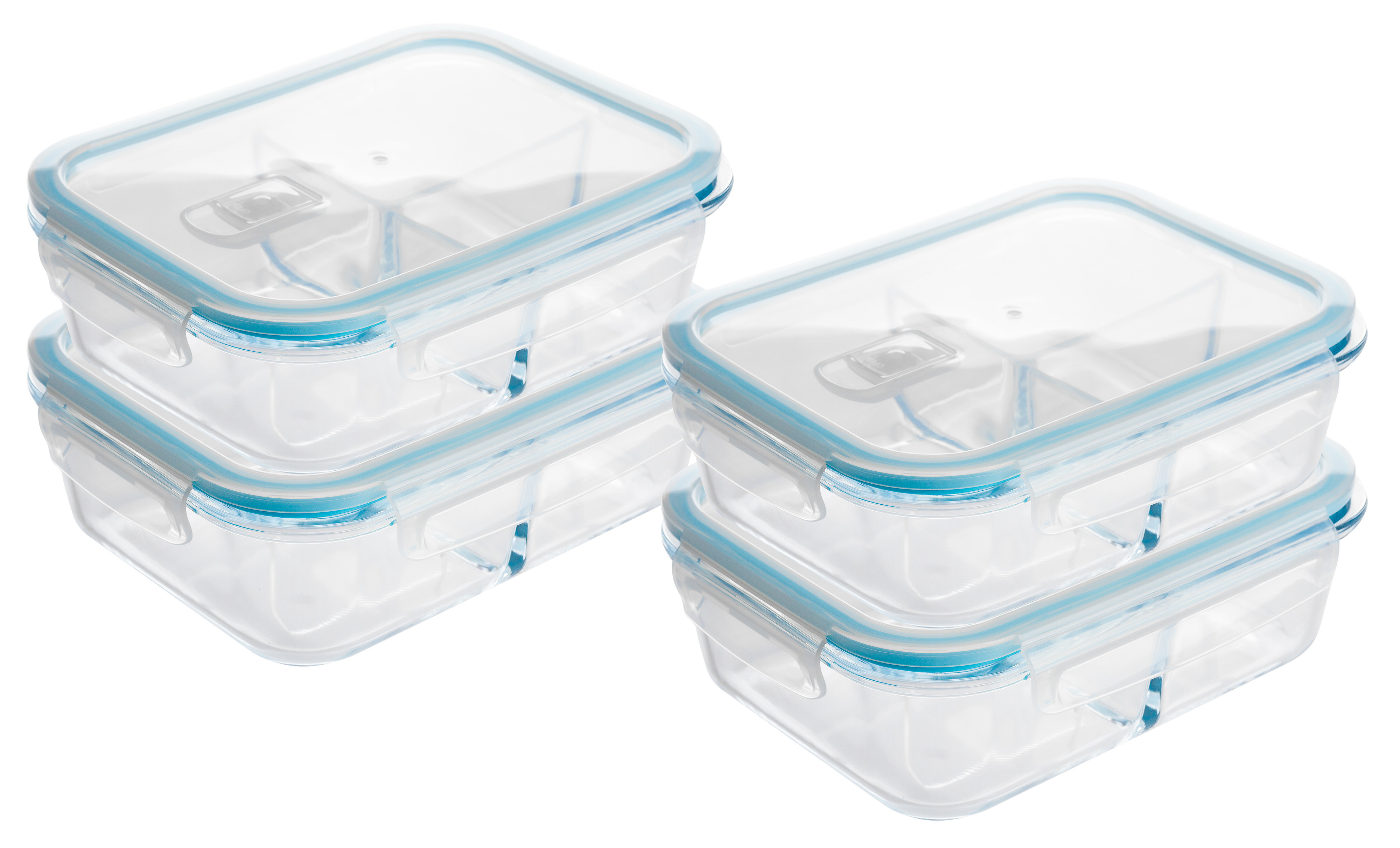 Rebrilliant German Meal Prep 49 Oz. Food Storage Container & Reviews ...