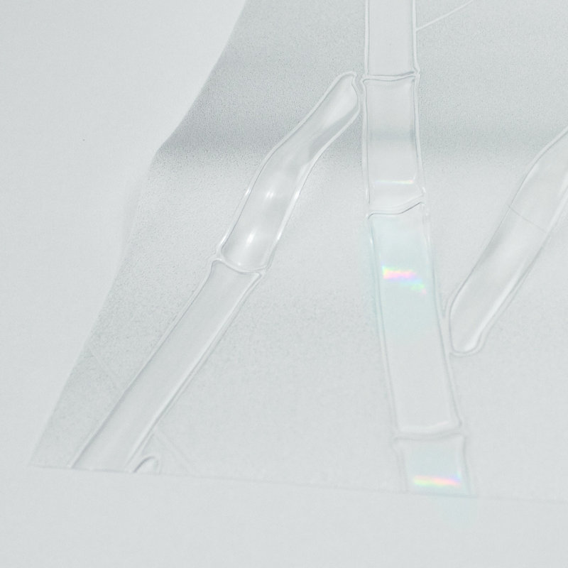 Room Mates Bamboo Privacy Window Decal & Reviews | Wayfair