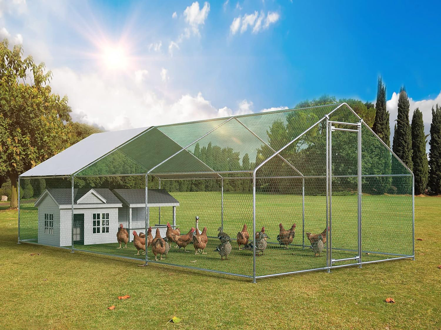Tucker Murphy Pet™ Metal Chicken Coop For 20 Chickens Large Chicken ...