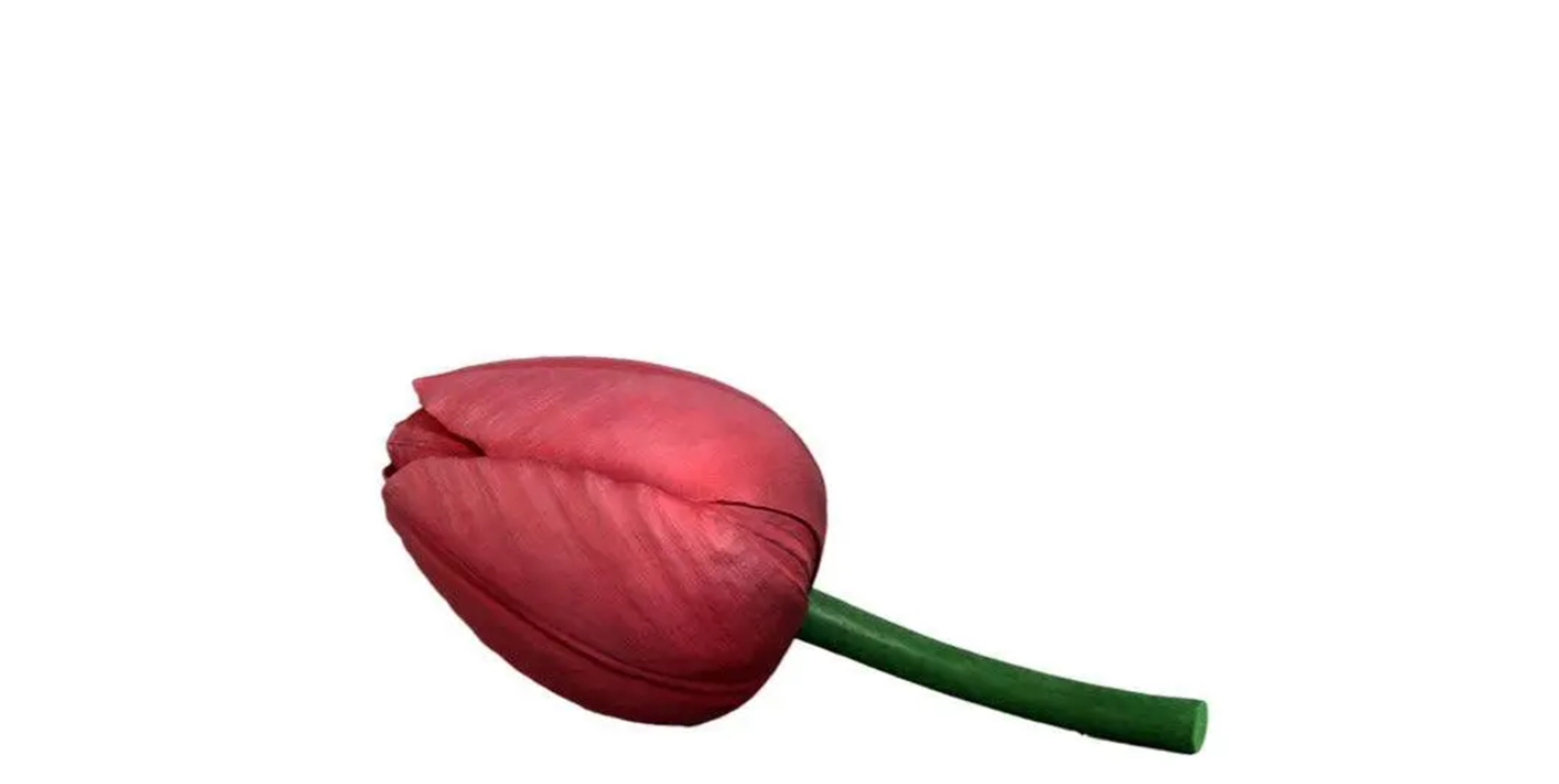 Wildon Home® Hruni Flower Tulip Bud over Sized Garden Prop Decor Resin ...