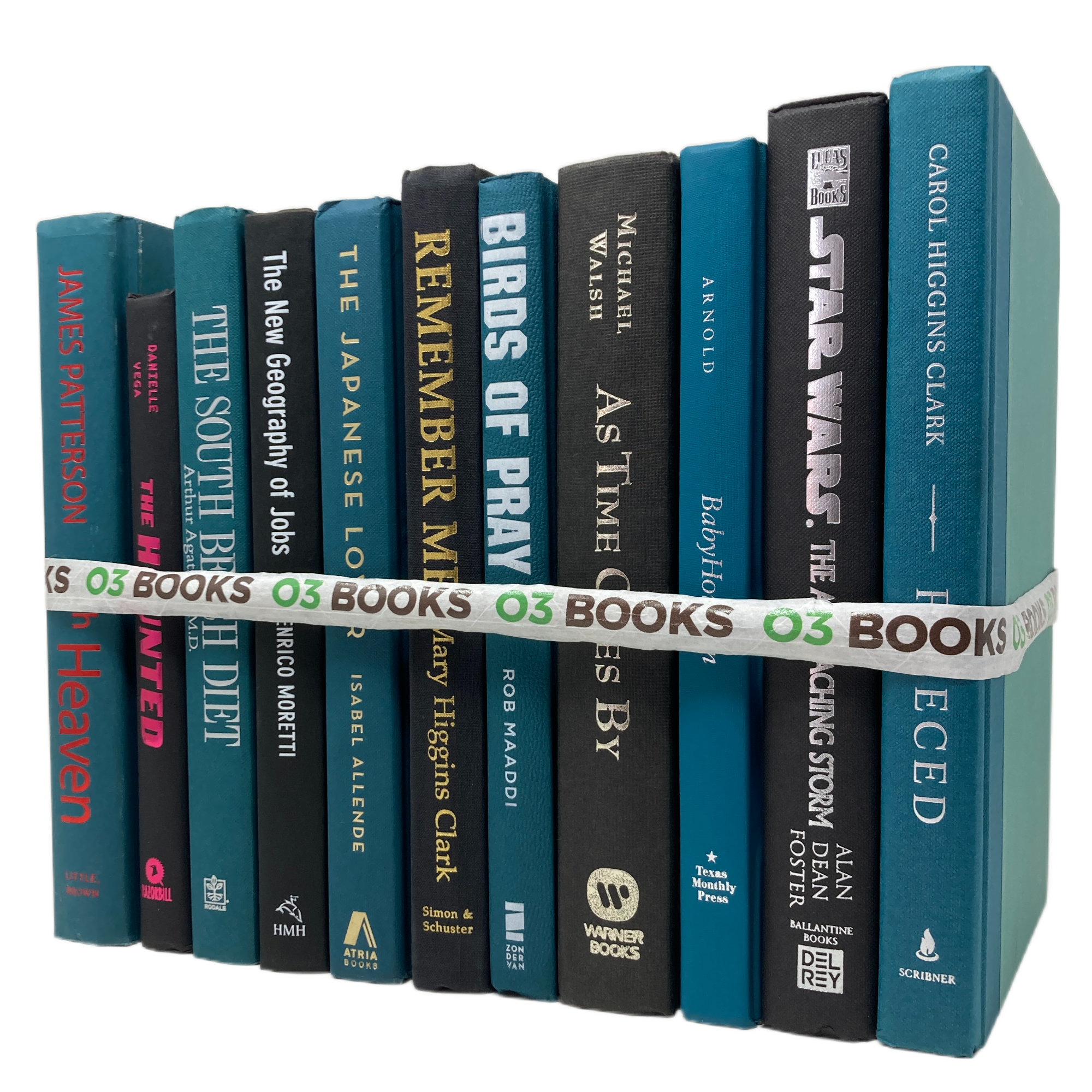 O3 Books Bold Contrast Decorative Books Black and Teal | Wayfair
