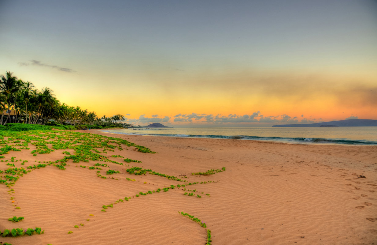 The Finishing Touch Keawakapu Beach Maui Hawaiian Islands by Kelly Wade ...