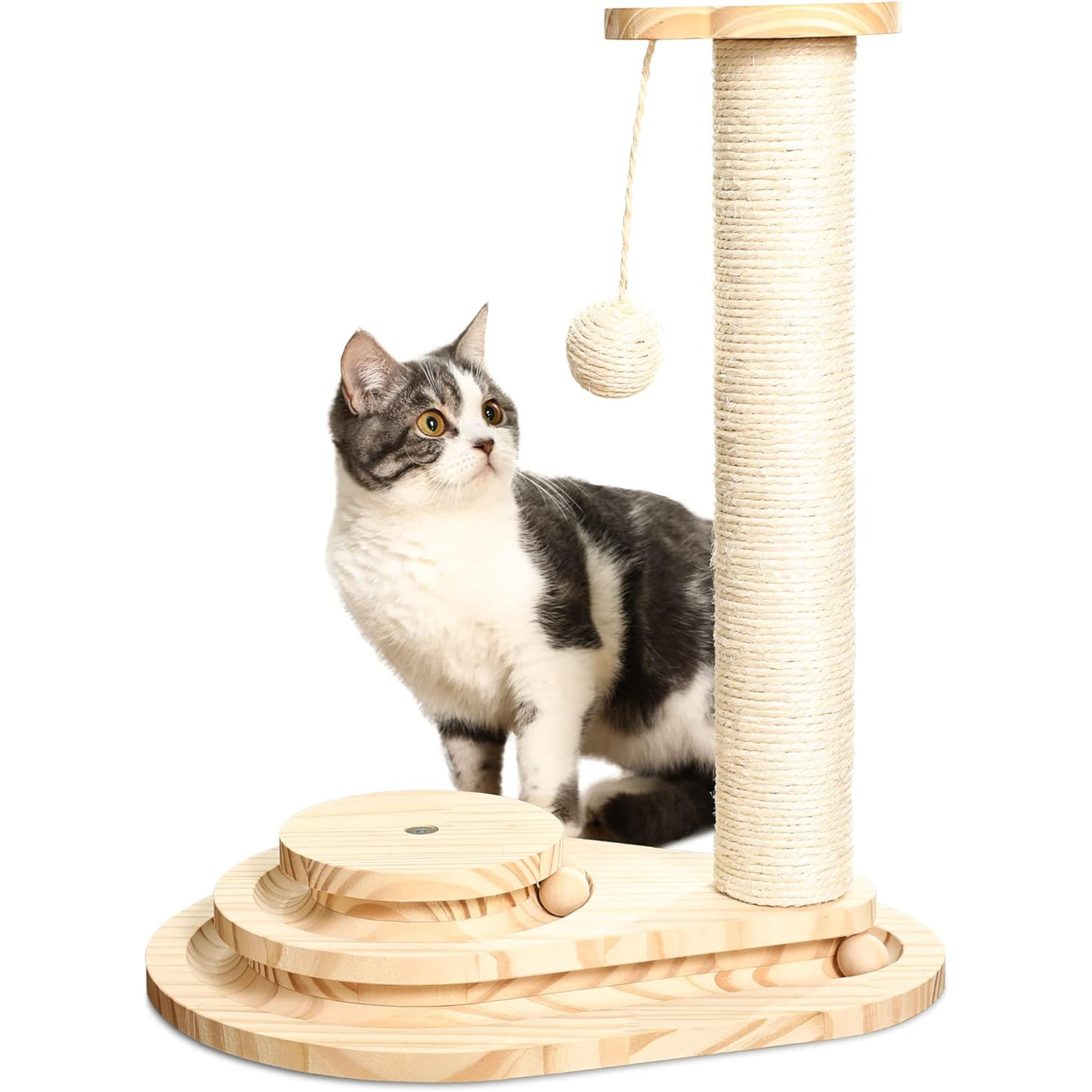 Tucker Murphy Pet™ Cat Scratcher, Scratching Post For Indoor Cats With ...