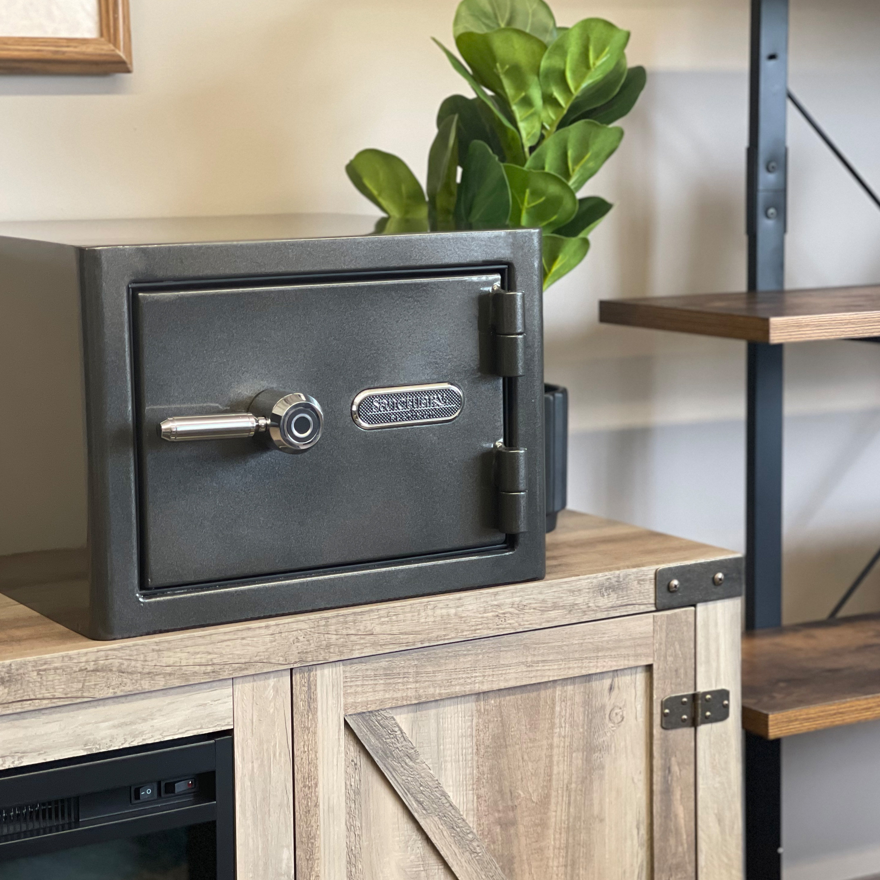 Sanctuary Platinum Fireproof and Waterproof Security Safe with ...