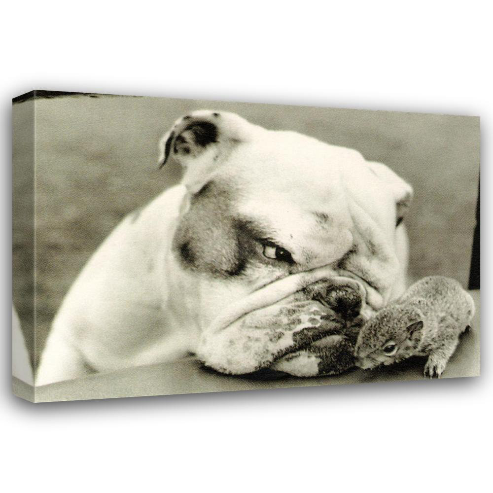 Astoria Grand Bulldog Watch | Wayfair