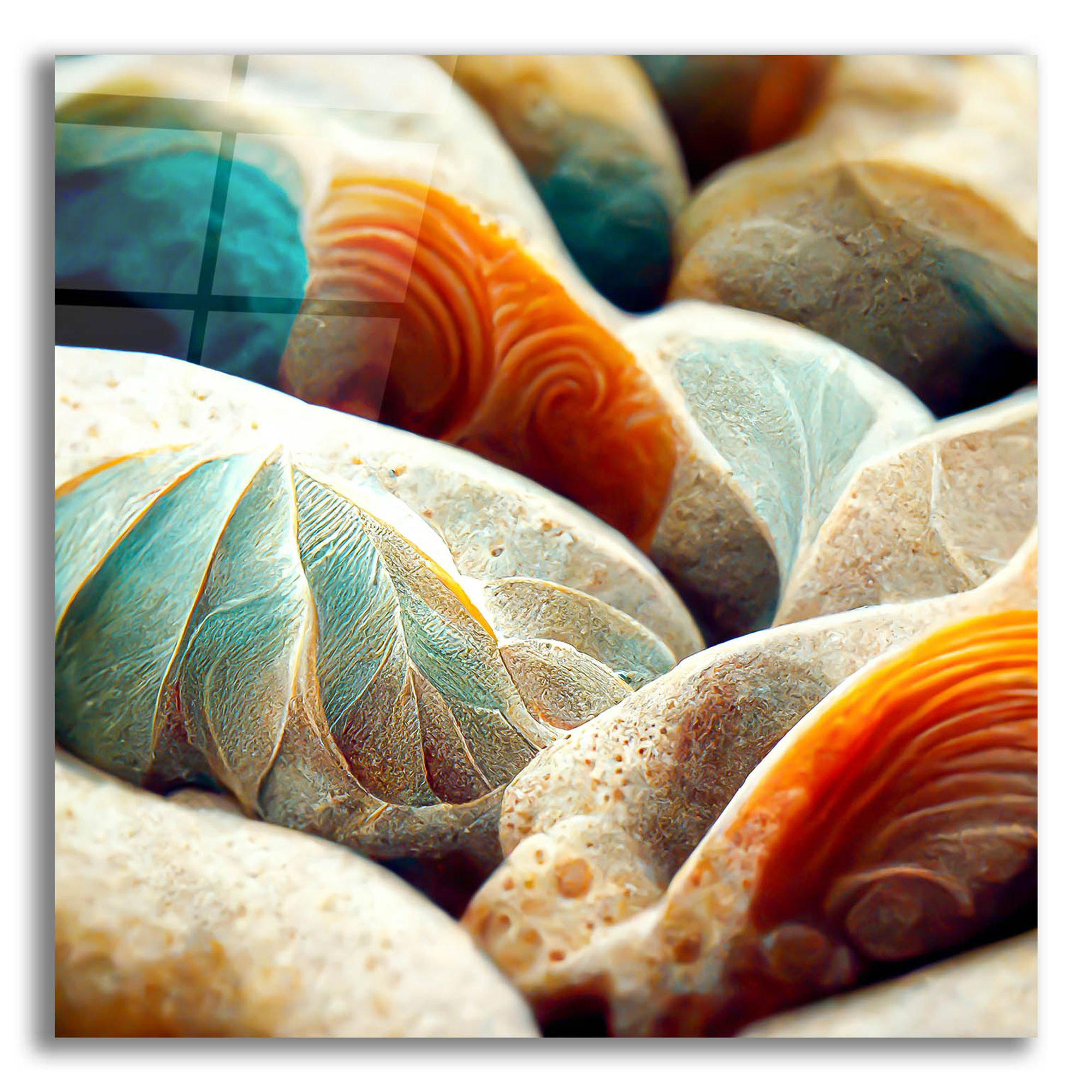 Highland Dunes Space Sea Shells On Plastic / Acrylic by Epic Portfolio ...
