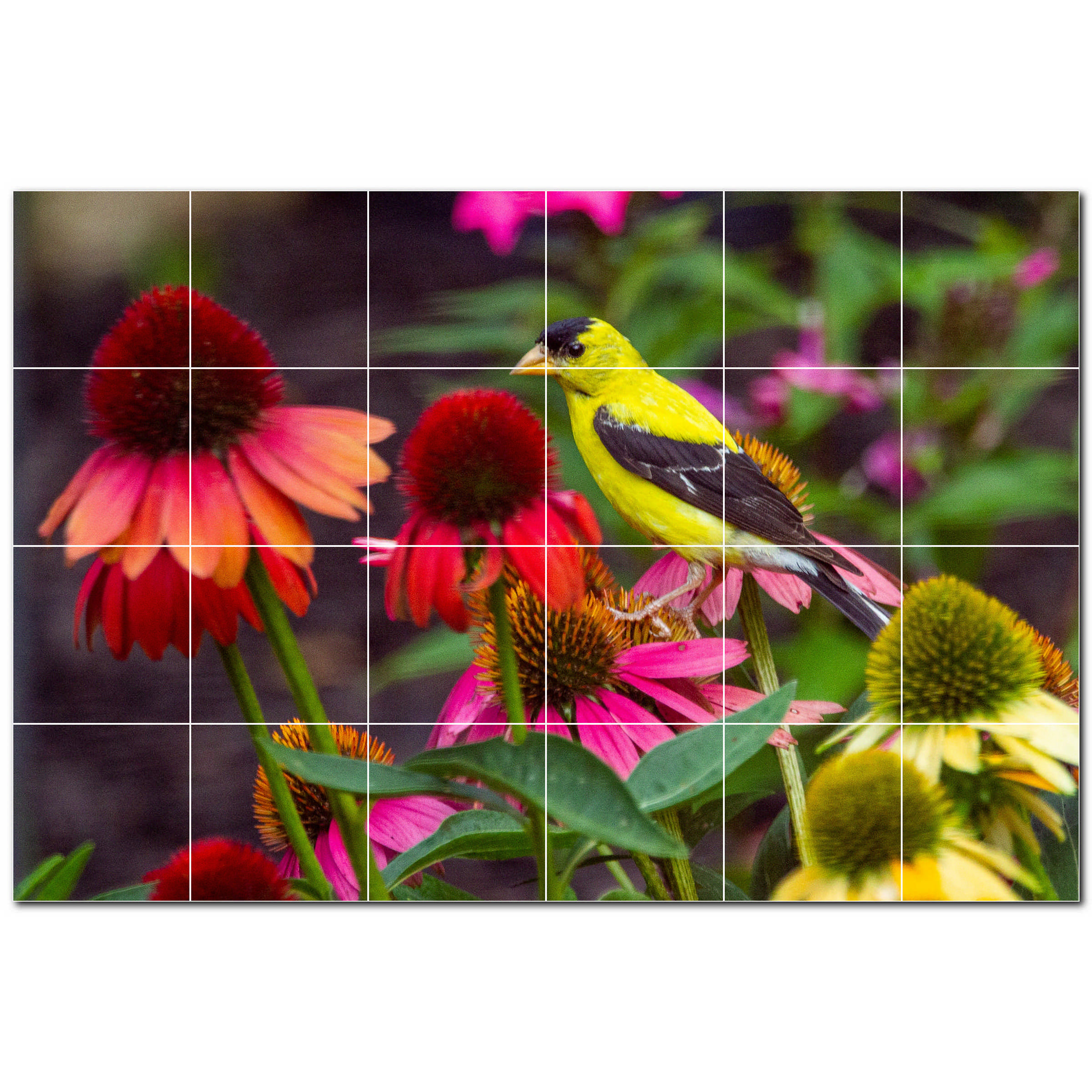 Picture-Tiles.com Bird Photo 8'' x 8'' Satin Ceramic Decorative Mural ...
