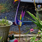 Regal Art & Gift Goofy Bird Stake - Crane & Reviews | Wayfair