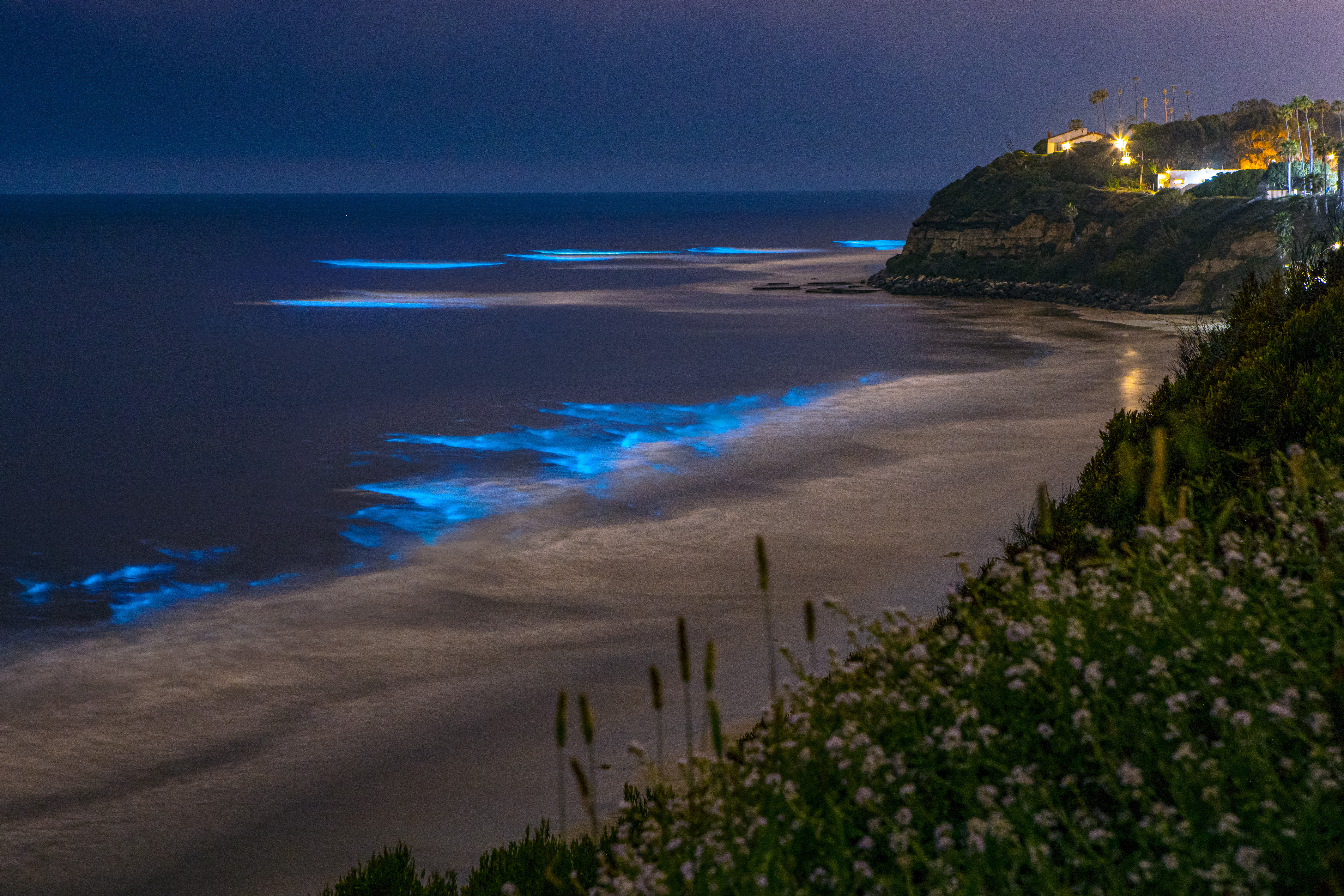 Highland Dunes Bioluminescence Coastline by Justin Bartels - Wrapped ...