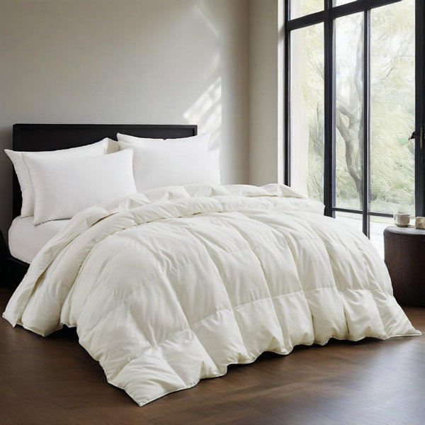 Lightweight Queen Down Comforters & Duvet Inserts You'll Love | Wayfair
