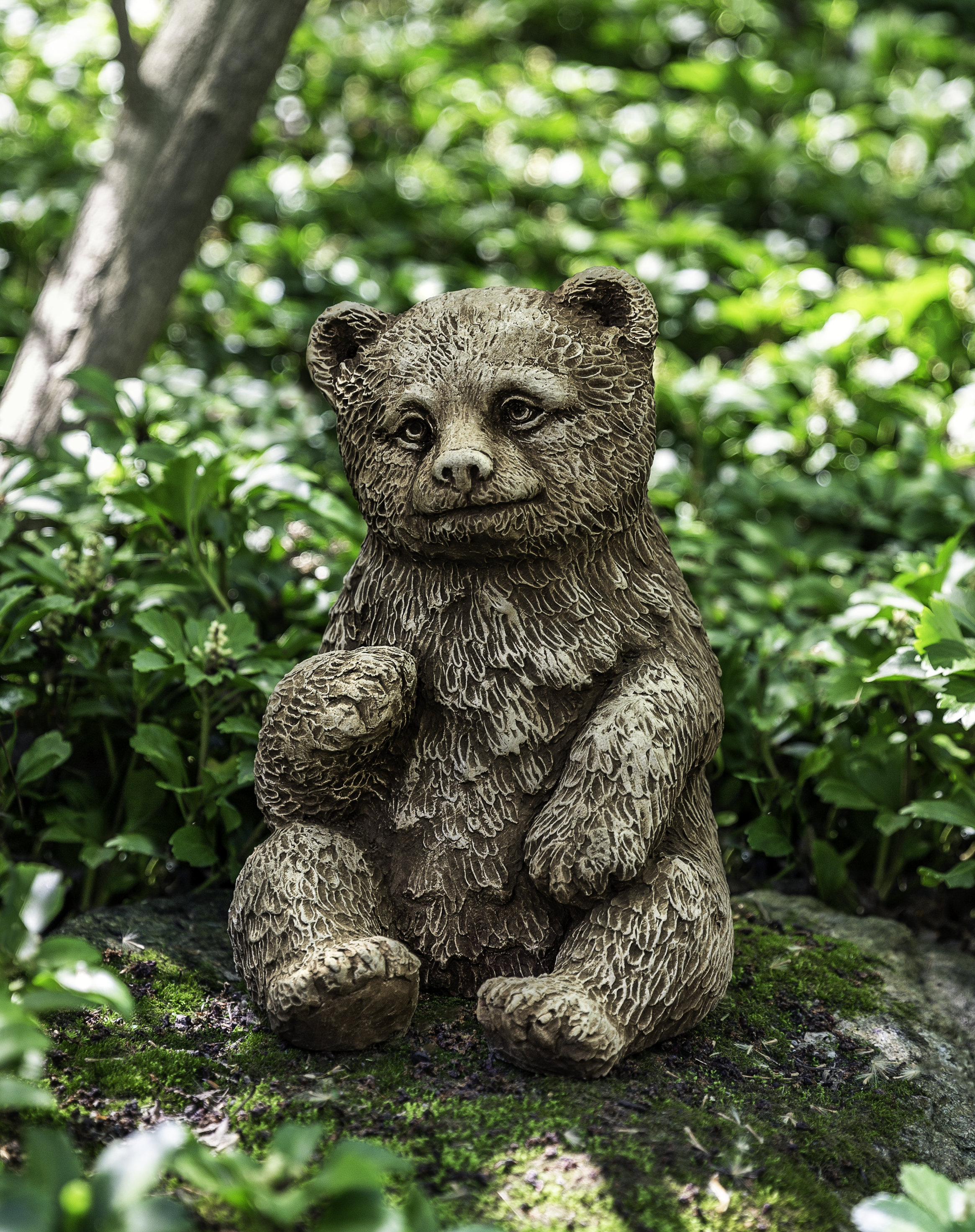 Campania International Bear Cub | Wayfair